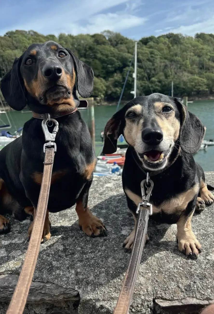 The Pride Issue - The Bitter and the Sweet (ISSUE 38 SUMMER 2025 ...