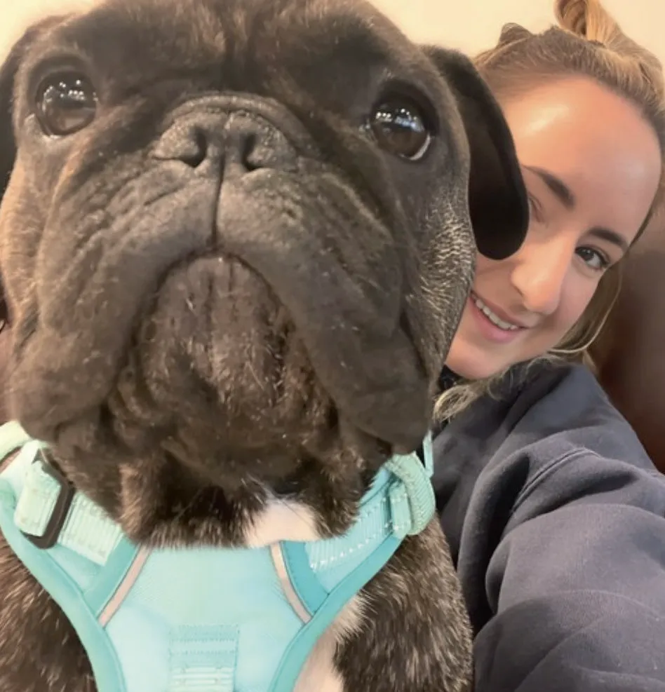 The Pride Issue - The Bitter and the Sweet (ISSUE 38 SUMMER 2025 ...